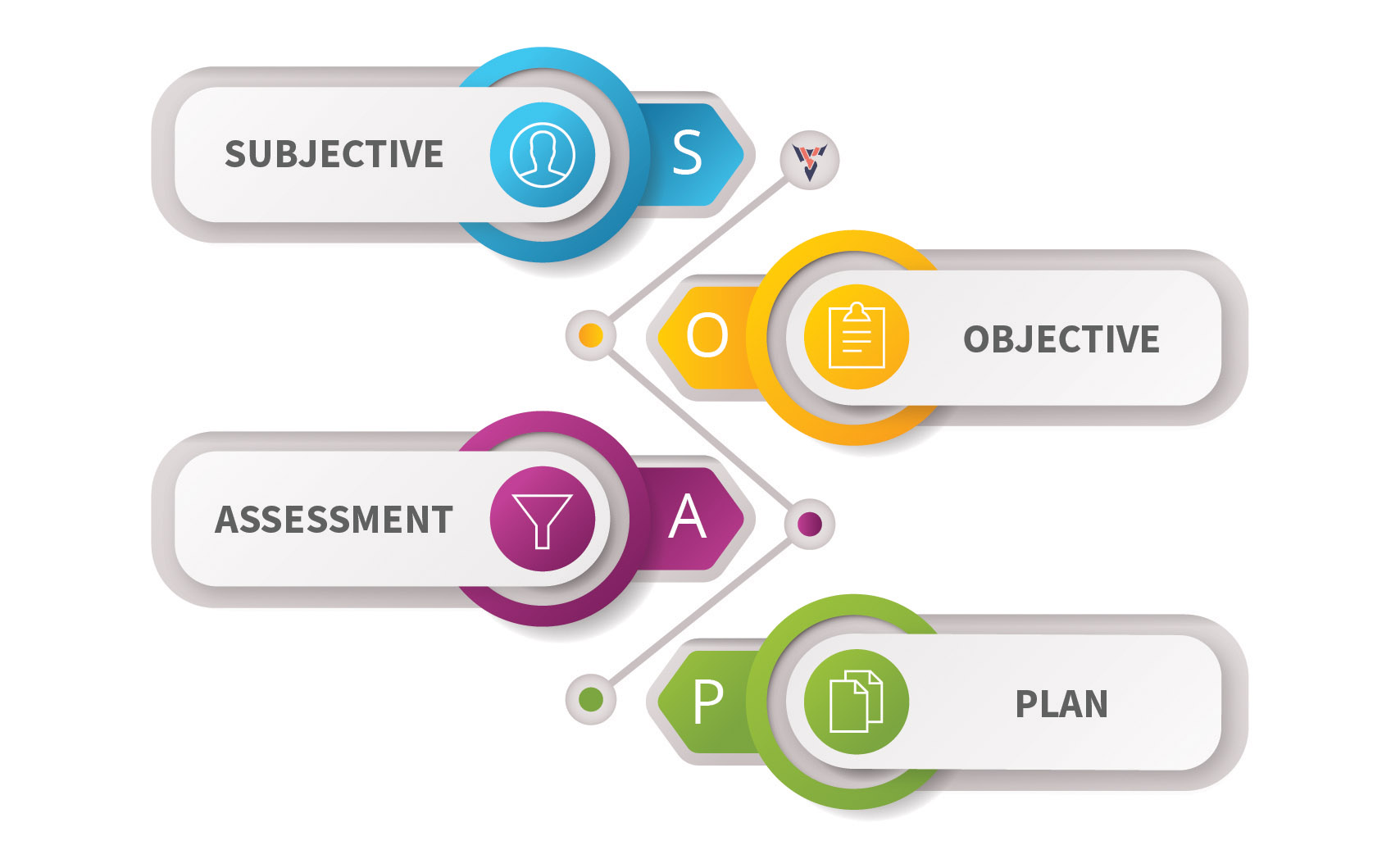 SOAP Format Of Electronic Health Records EMRs For Veterinary Practices